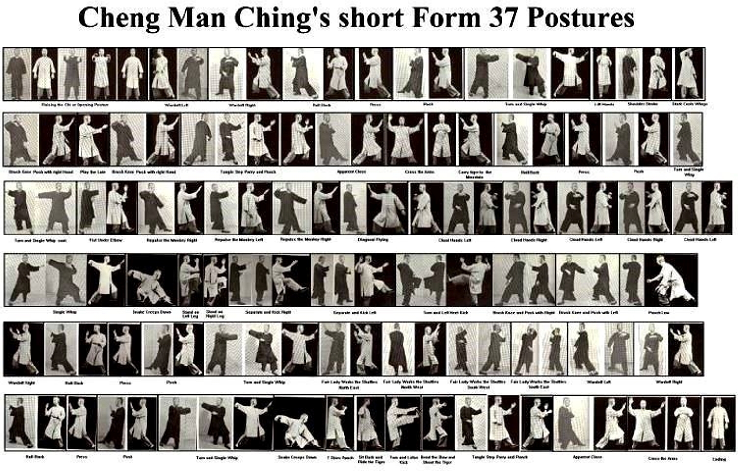 CHENG MAN CHING - TAI CHI CHUAN Le 37 Posture